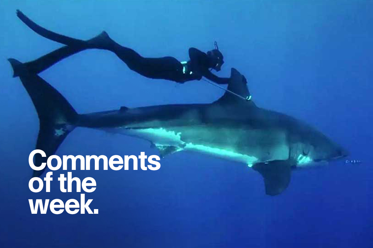 Stab Magazine | Comments Of The Week, Edition 60