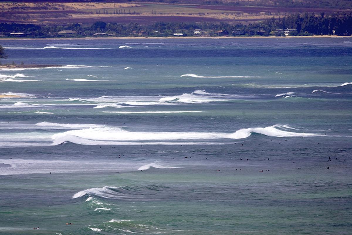 Stab Magazine | 6 Lame (but rad) Surf Spots On The North Shore