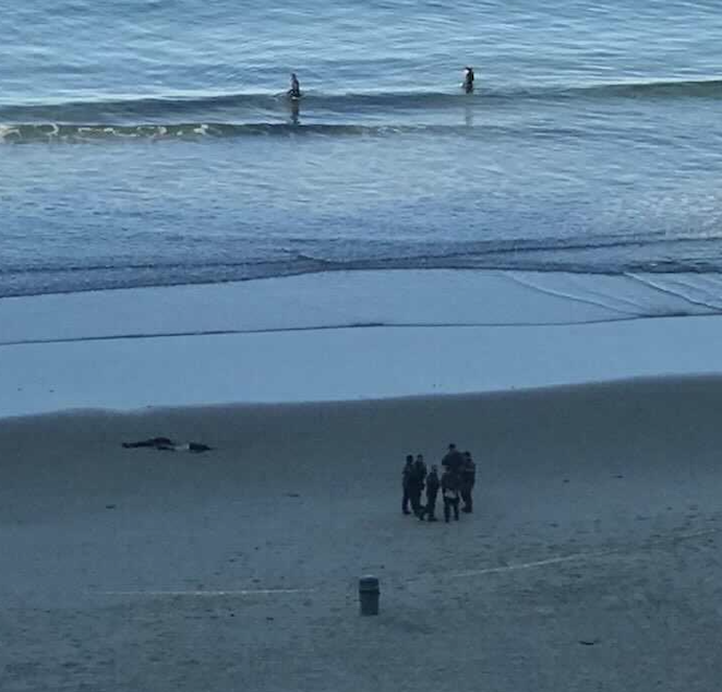 Can A Surfline Cam Solve The Dead Body Mystery At Salt Creek? - Stab Mag