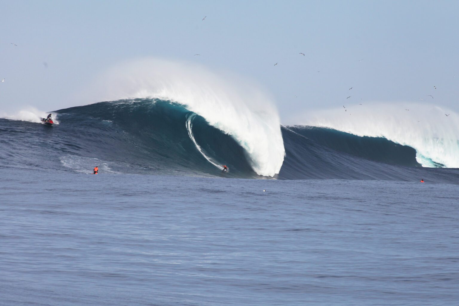 White Sharks And 60-Foot Perfection At The Cortes Bank Session Of The ...