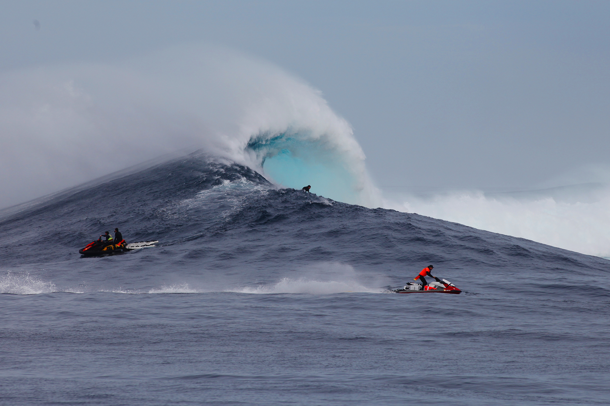 White Sharks And 60-Foot Perfection At The Cortes Bank Session Of The ...