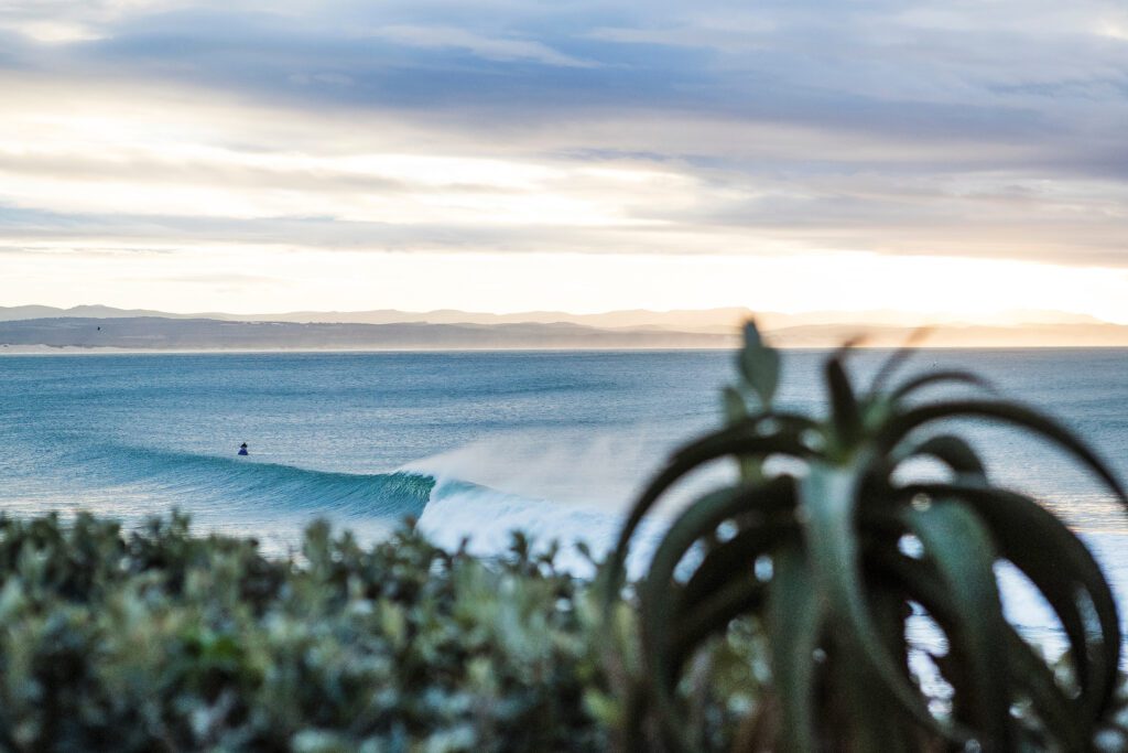 Event Preview: How To Win J-Bay, According To A J-Bay Savant And Local ...