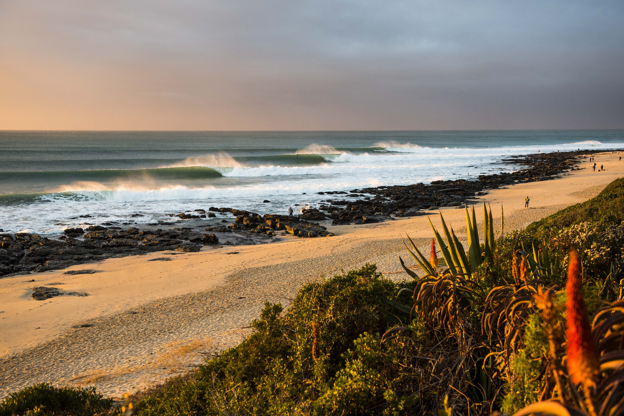 Why Is The WSL (Really) Not Going To J-Bay In 2024? - Stab Mag