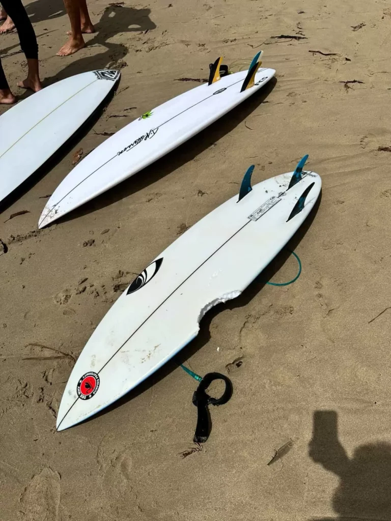 Two Days, Two Shark Attacks In Sydney - Stab Mag